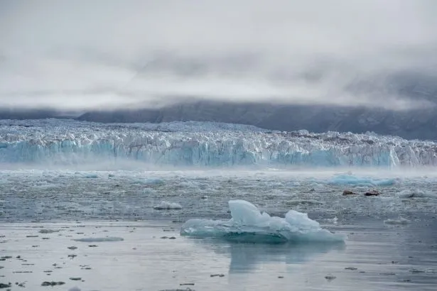Fungi help lock carbon into Arctic fjord sediments - Queen Mary ...